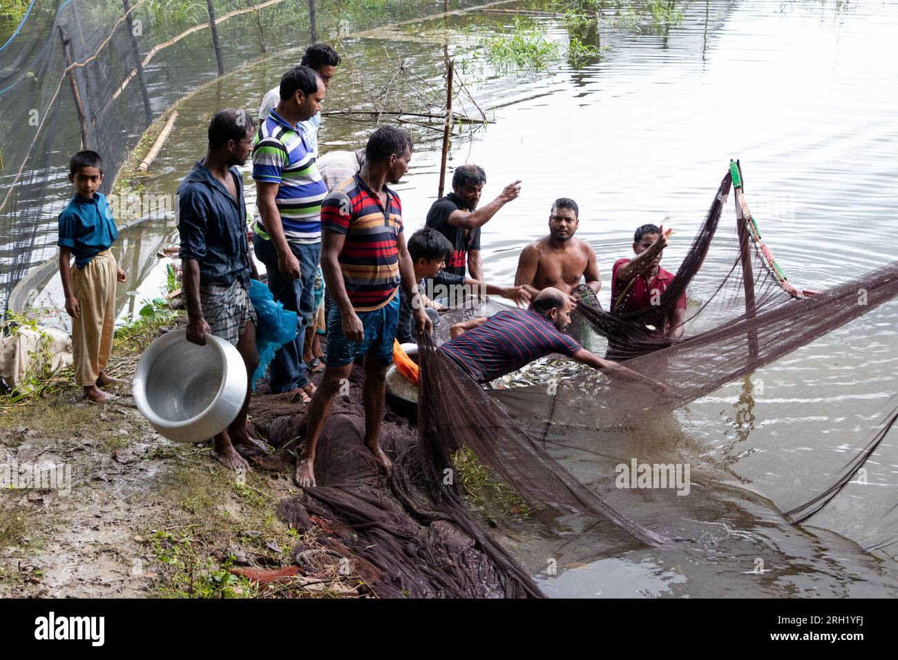 Munshiganj, Dhaka, Bangladesh. 13th Aug, 2023. Fishermen catch fish in ...