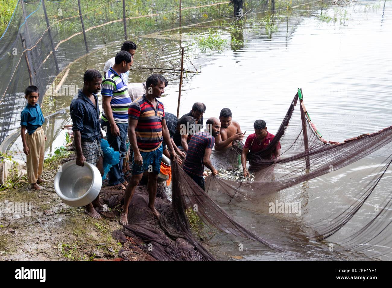Munshiganj, Dhaka, Bangladesh. 13th Aug, 2023. Fishermen catch fish in ...