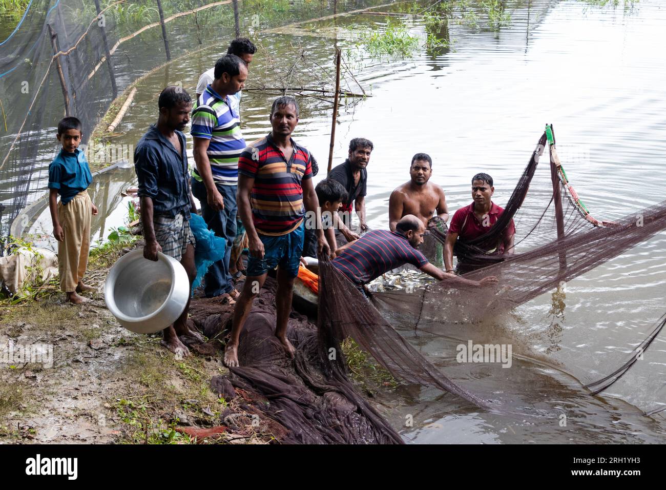 Munshiganj, Dhaka, Bangladesh. 13th Aug, 2023. Fishermen catch fish in ...