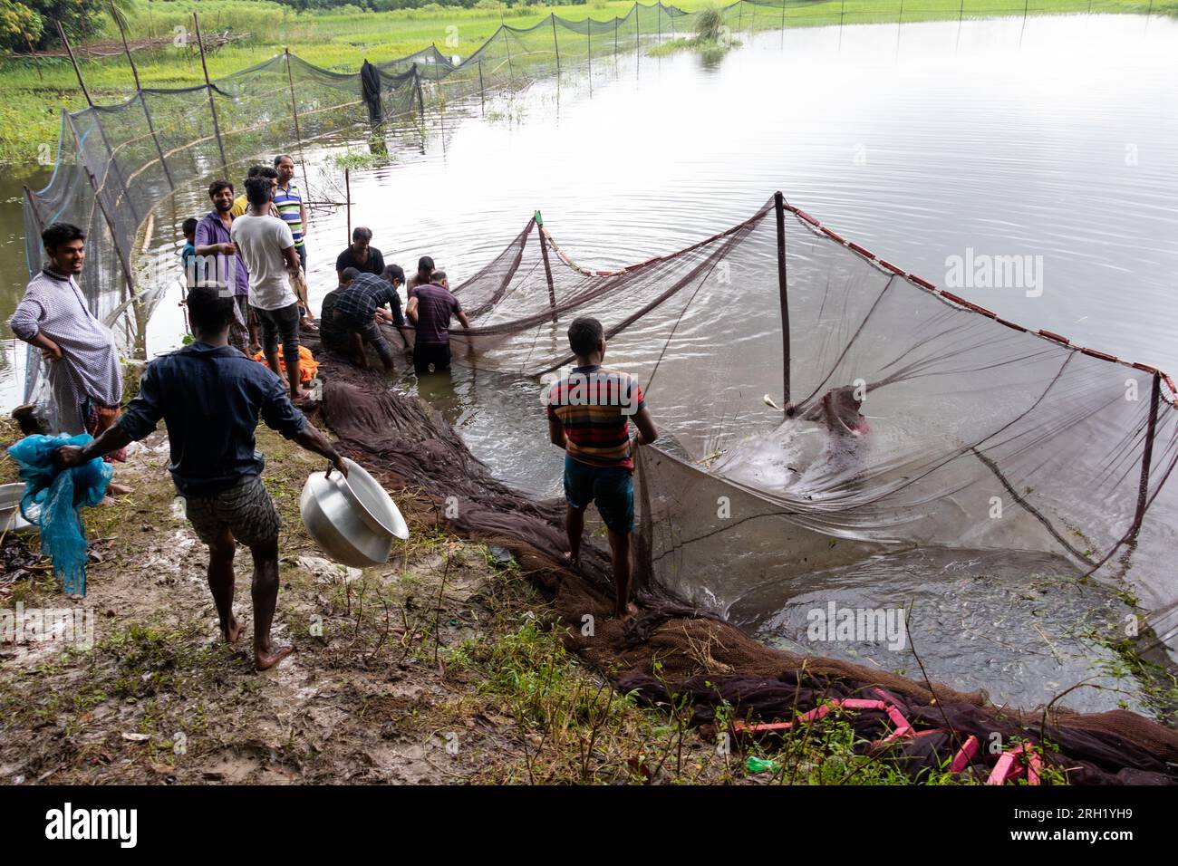 Munshiganj, Dhaka, Bangladesh. 13th Aug, 2023. Fishermen catch fish in ...