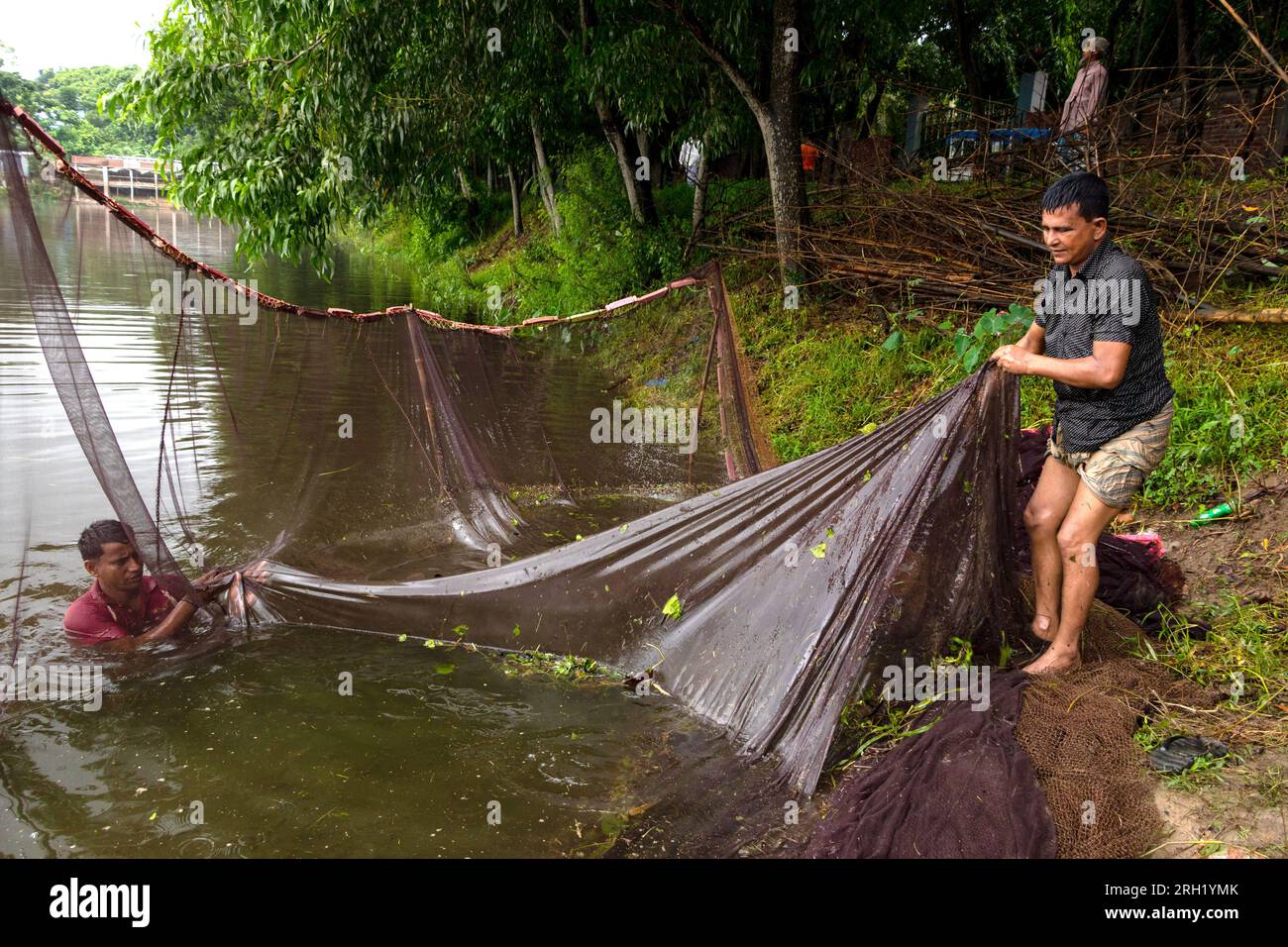 Munshiganj, Dhaka, Bangladesh. 13th Aug, 2023. Fishermen catch fish in ...