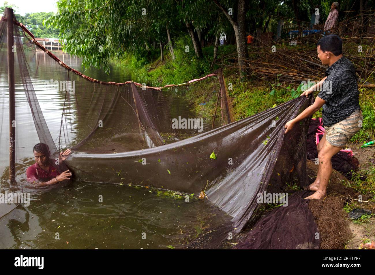 Munshiganj, Dhaka, Bangladesh. 13th Aug, 2023. Fishermen catch fish in ...