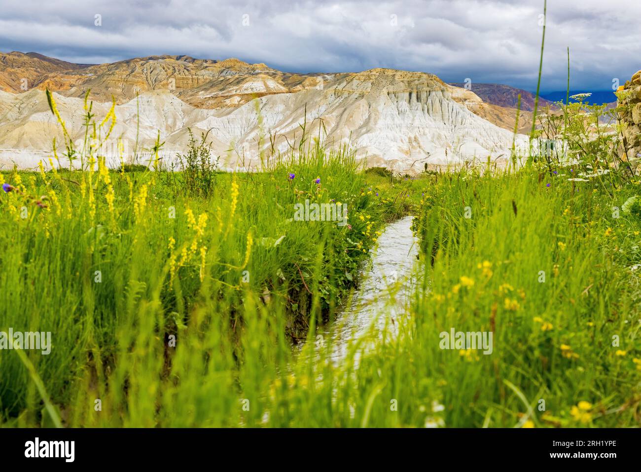 Beautiful Green fields with small creek and mountains in Lho Manthang ...