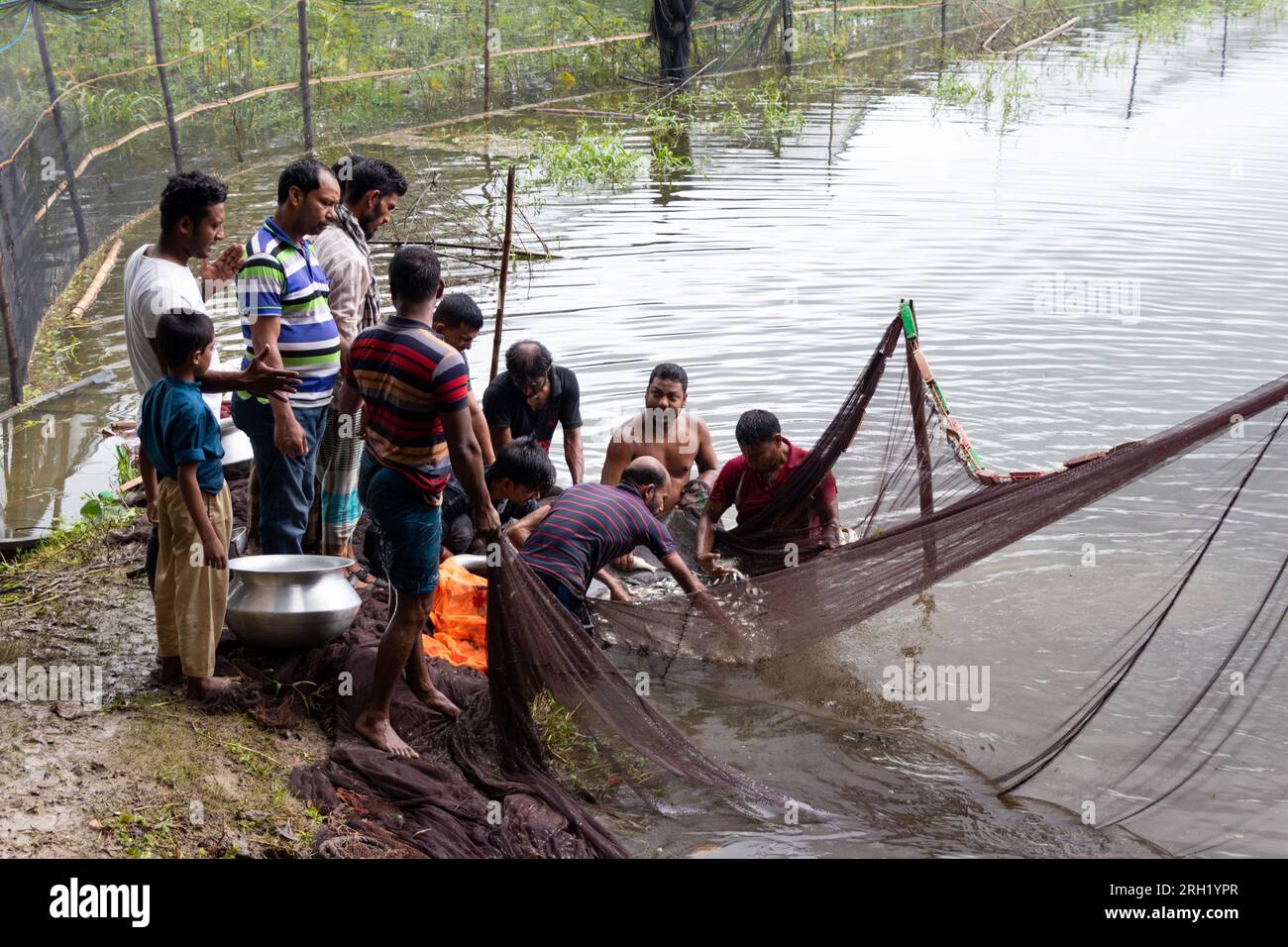 Munshiganj, Dhaka, Bangladesh. 13th Aug, 2023. Fishermen catch fish in ...