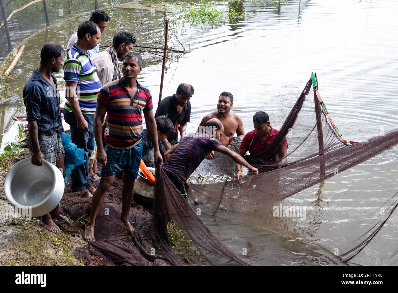 Munshiganj, Dhaka, Bangladesh. 13th Aug, 2023. Fishermen catch fish in ...