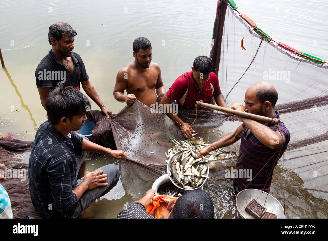 Fish farming dhaka bangladesh hi-res stock photography and images - Alamy