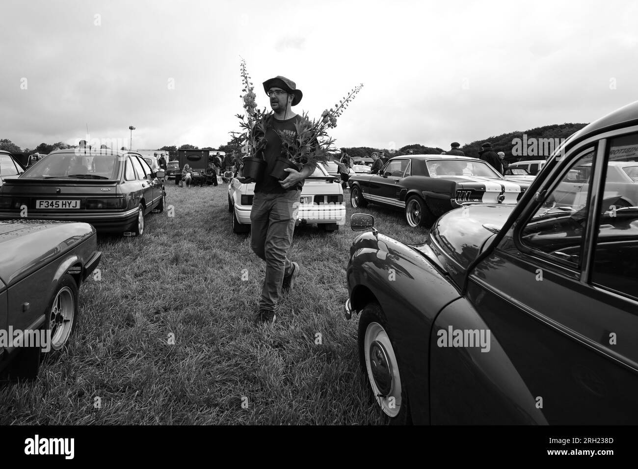 Man in hat carrying plants walking between classic vintage cars at ...