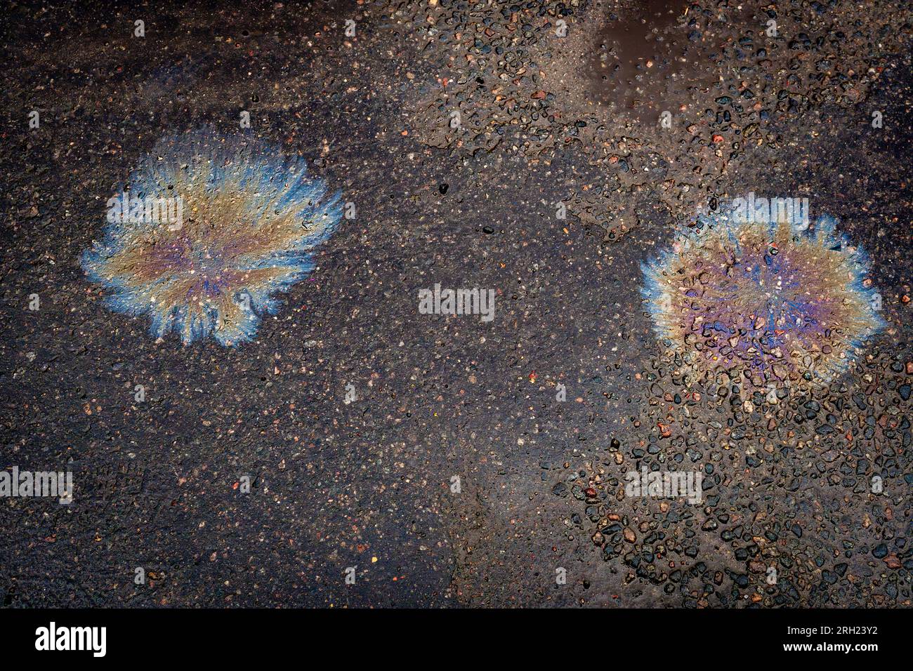 Two bright splashes of oil or gasoline on the pavement after rain Stock ...