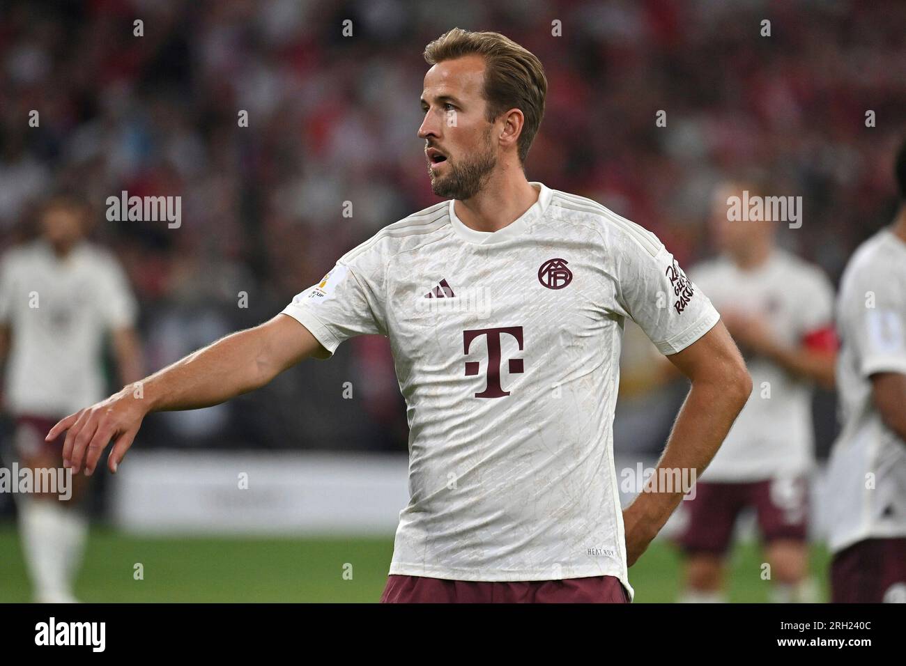 Harry KANE (FC Bayern Munich), gesture, gives instructions, action ...