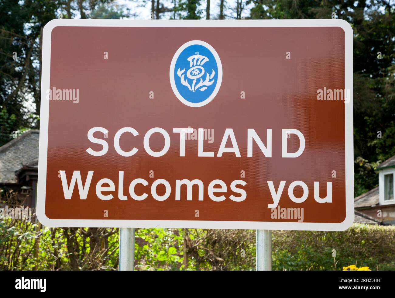 Thistle scotland emblem hi-res stock photography and images - Alamy