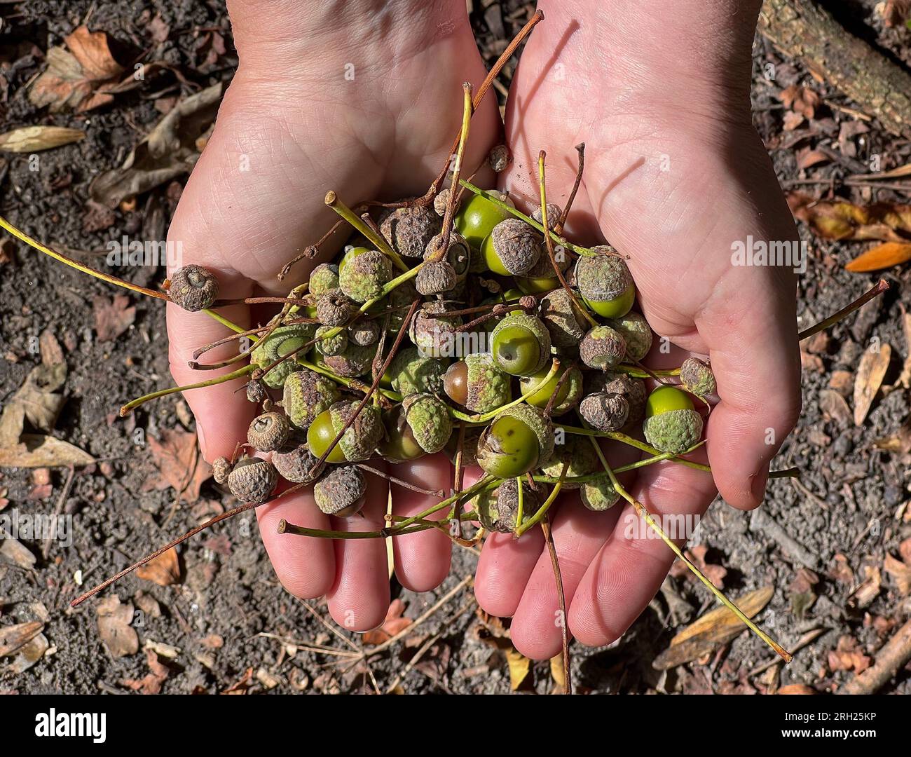 September heatwave london hi-res stock photography and images - Alamy