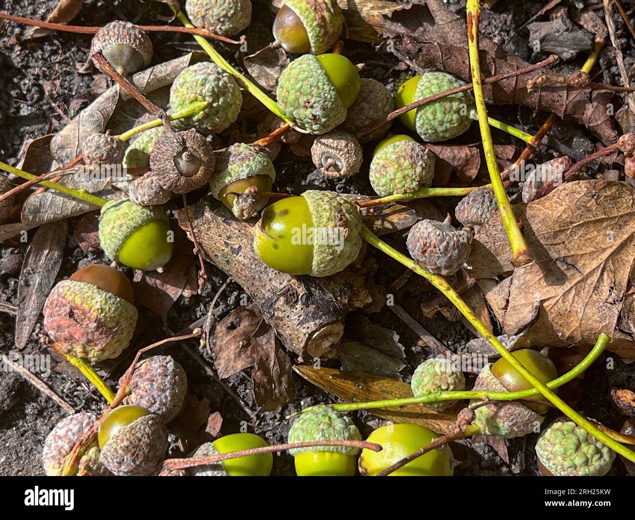 September heatwave london hi-res stock photography and images - Alamy