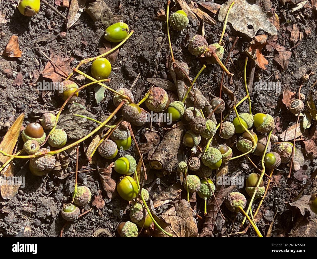 September heatwave london hi-res stock photography and images - Alamy