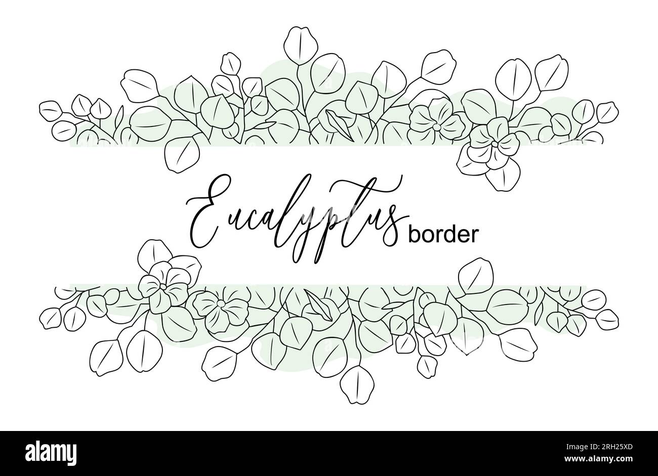 Line art eucalyptus branches, leaves border vector Stock Vector Image ...