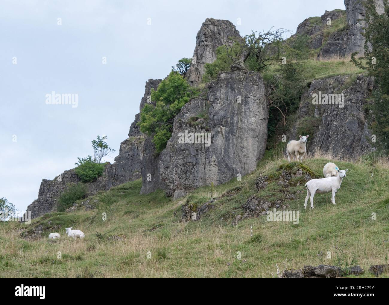Harboro Rocks Clay Shoot Family Fun Day 2023 Stock Photo - Alamy
