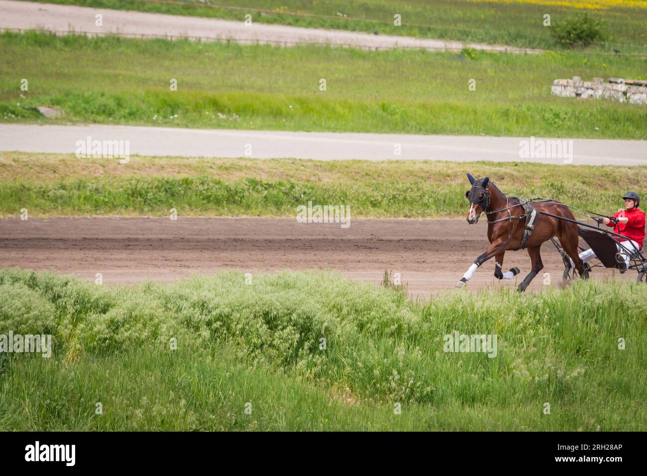 Horse and rider on a walk. Jockey and horse on hippodrome in Kyiv ...