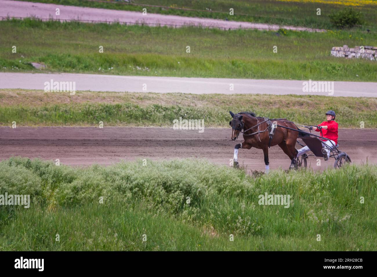 Horse and rider on a walk. Jockey and horse on hippodrome in Kyiv ...