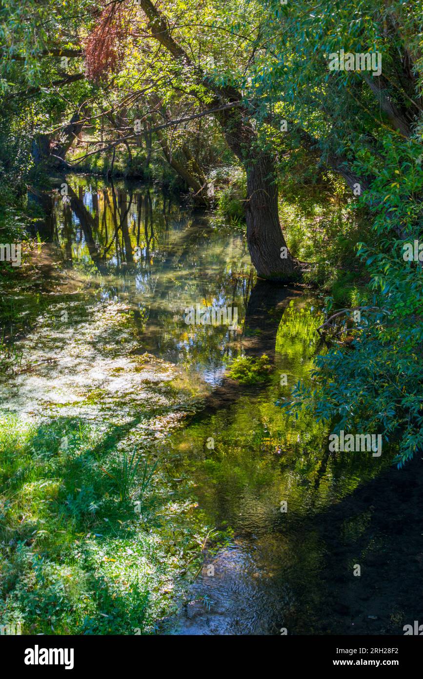 Cambio climatico arboles hi-res stock photography and images - Alamy