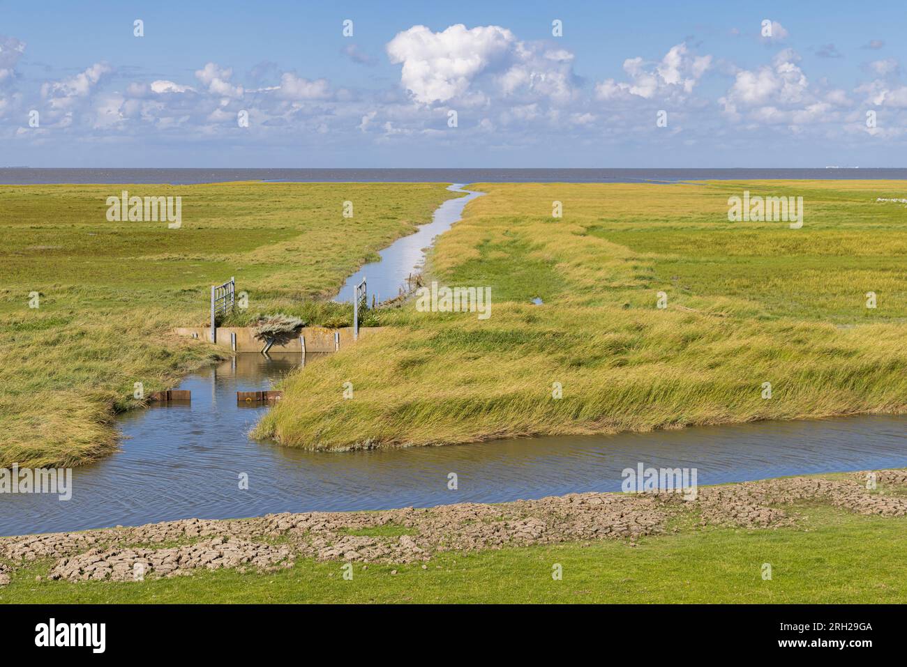 Landscape of Wadden sea area near Pieterburen Het Hogeland in north ...