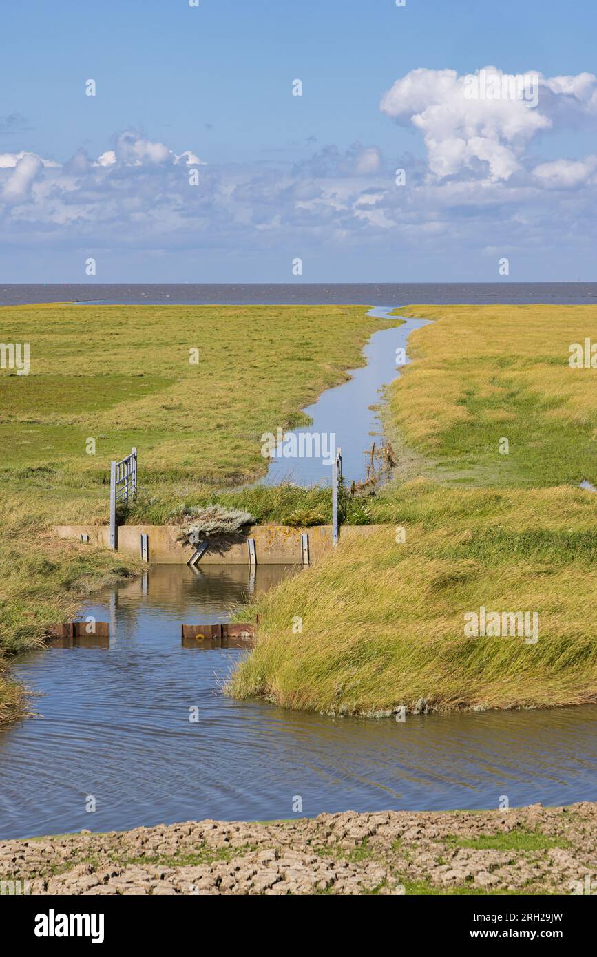 Landscape of Wadden sea area near Pieterburen Het Hogeland in north ...