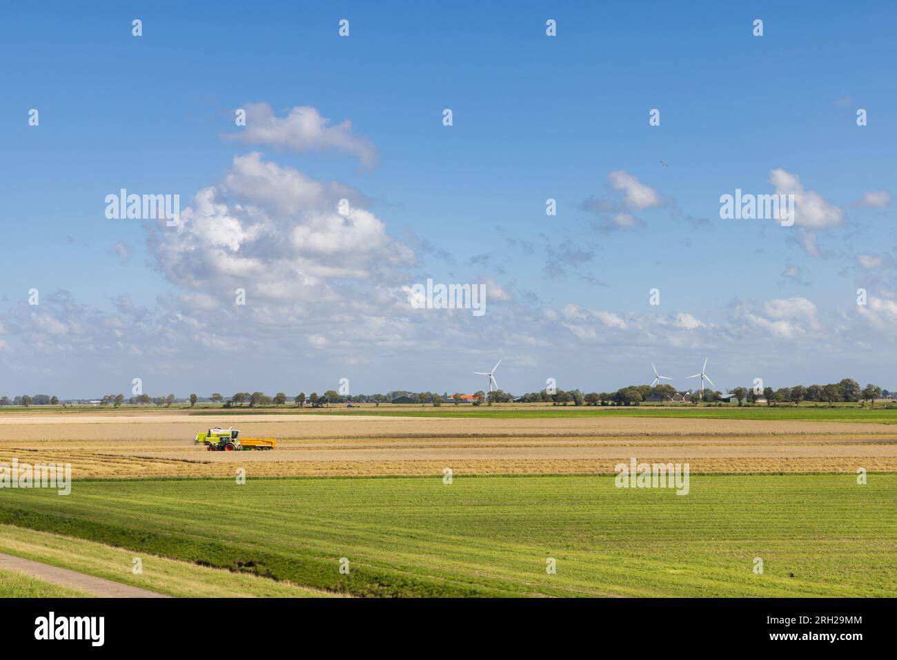 Agricultural fields with combine harvester near Pieterburen Het ...