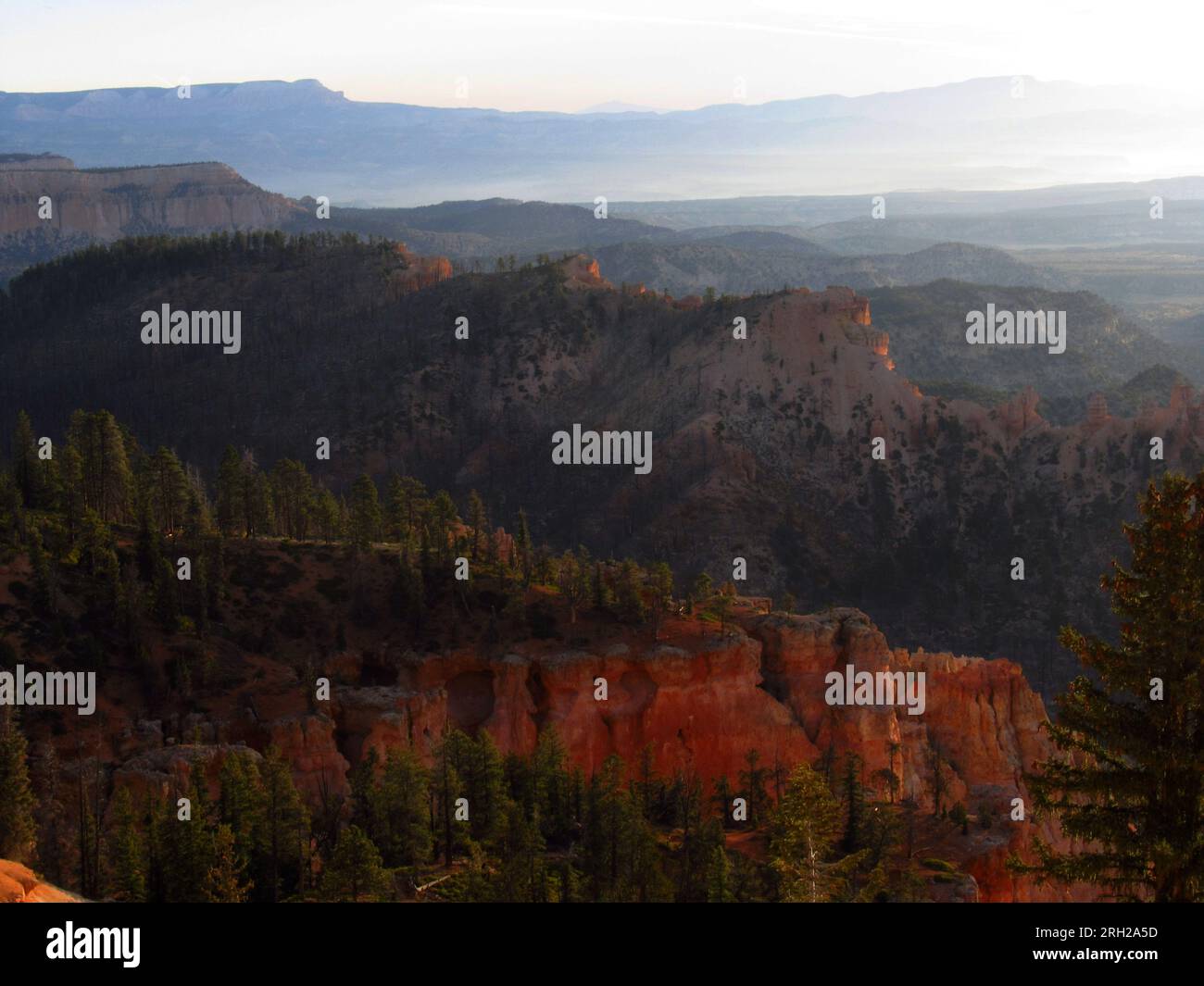 Dawn illuminating the multi-coloured limestone cliffs of Bryce Canyon ...