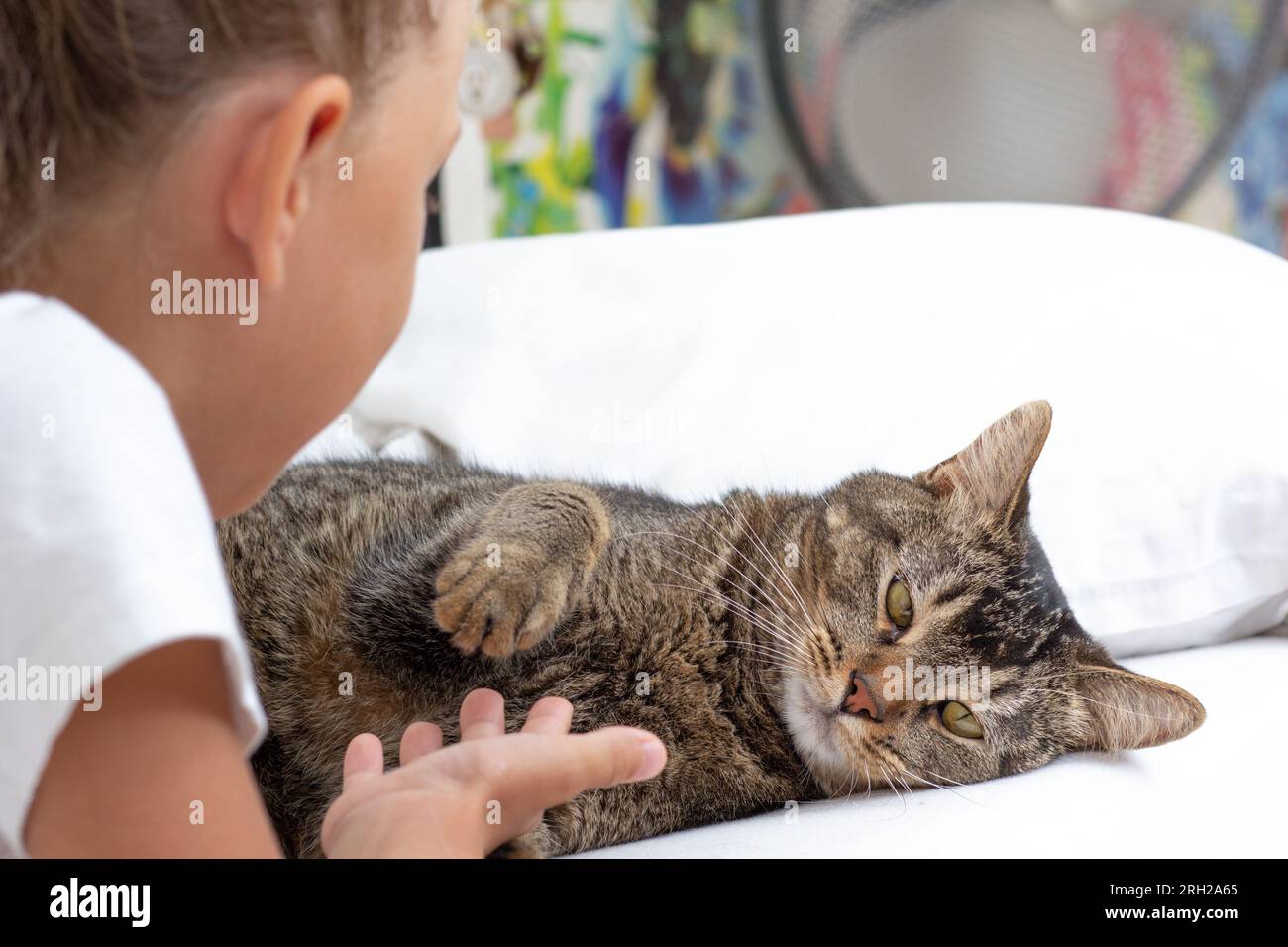 Cat lying on bed with sick look and child giving him a hand to support ...