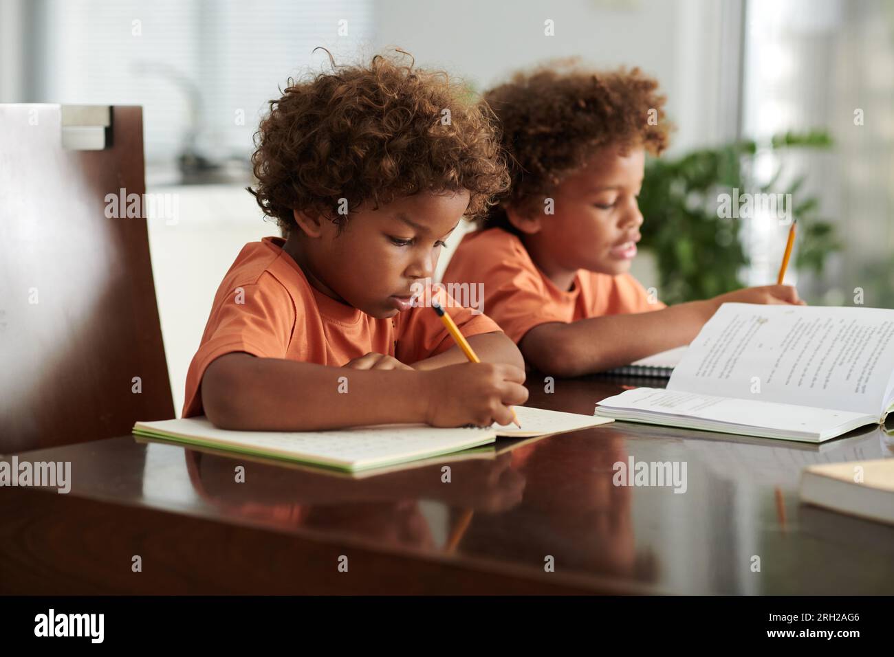 Child studying at dinner table hi-res stock photography and images - Alamy