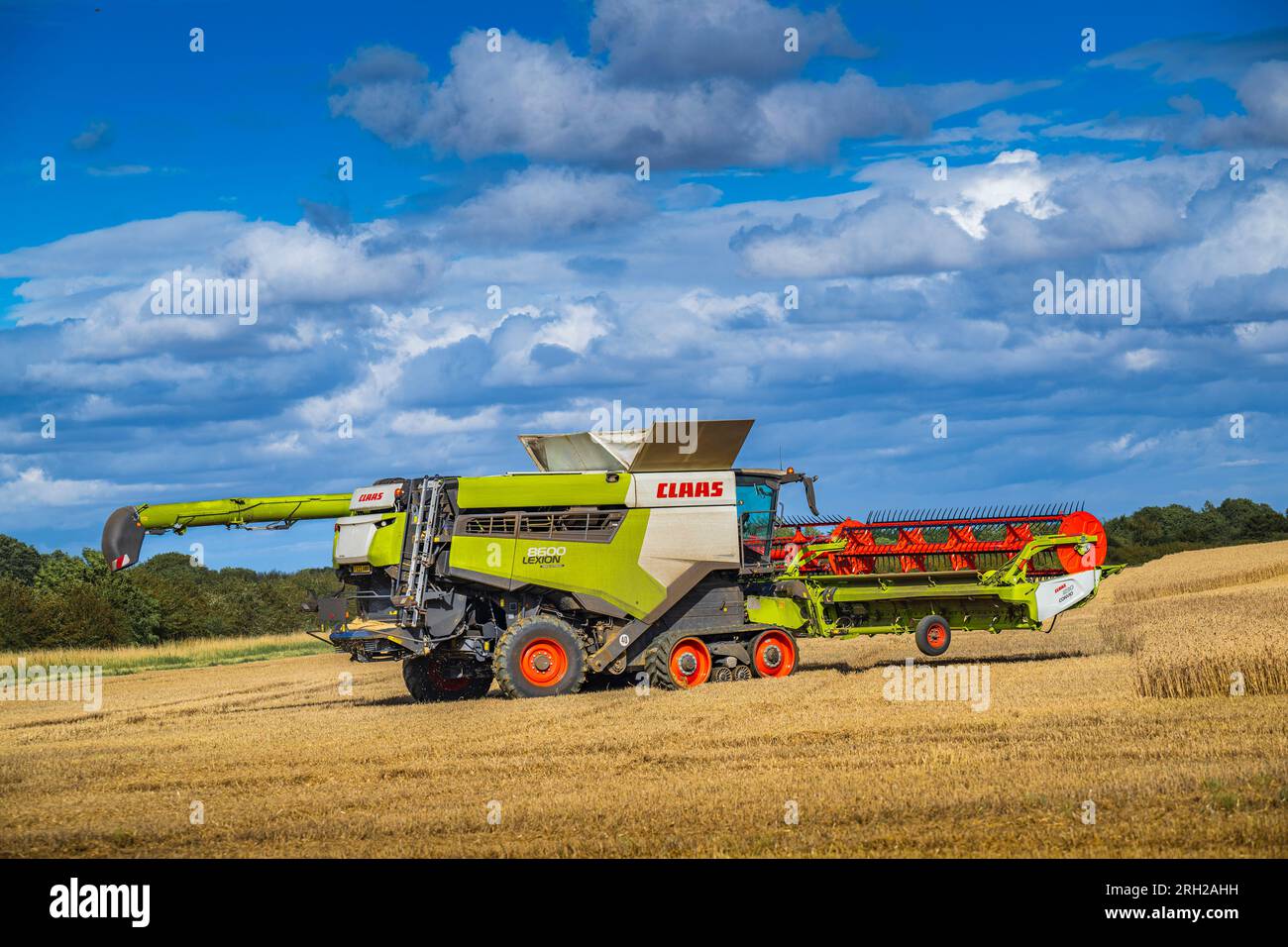 A combine harvester working in a field of wheat to harvest the corn ...