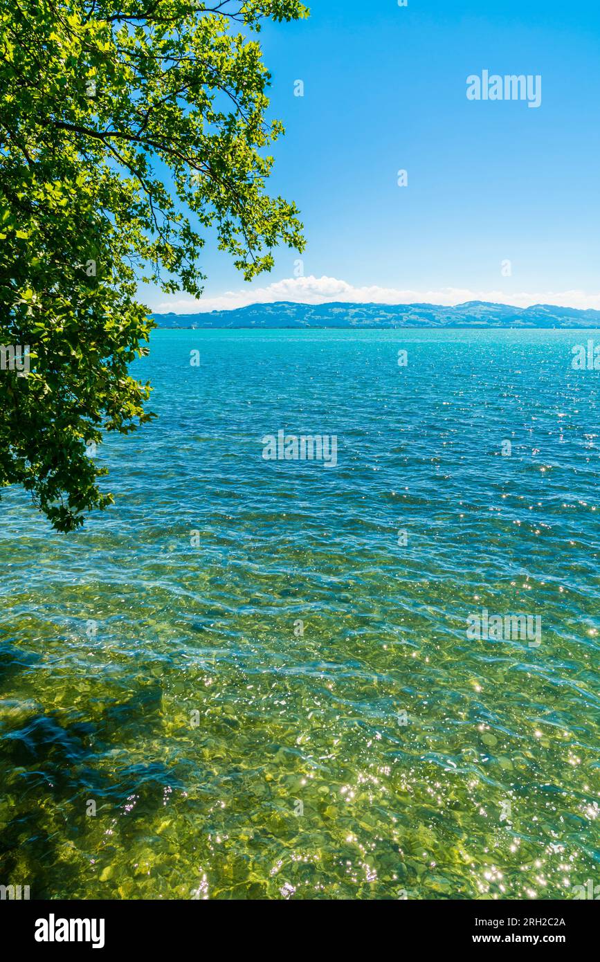 Germany, bodensee lake constance view sunny day in paradise nature ...