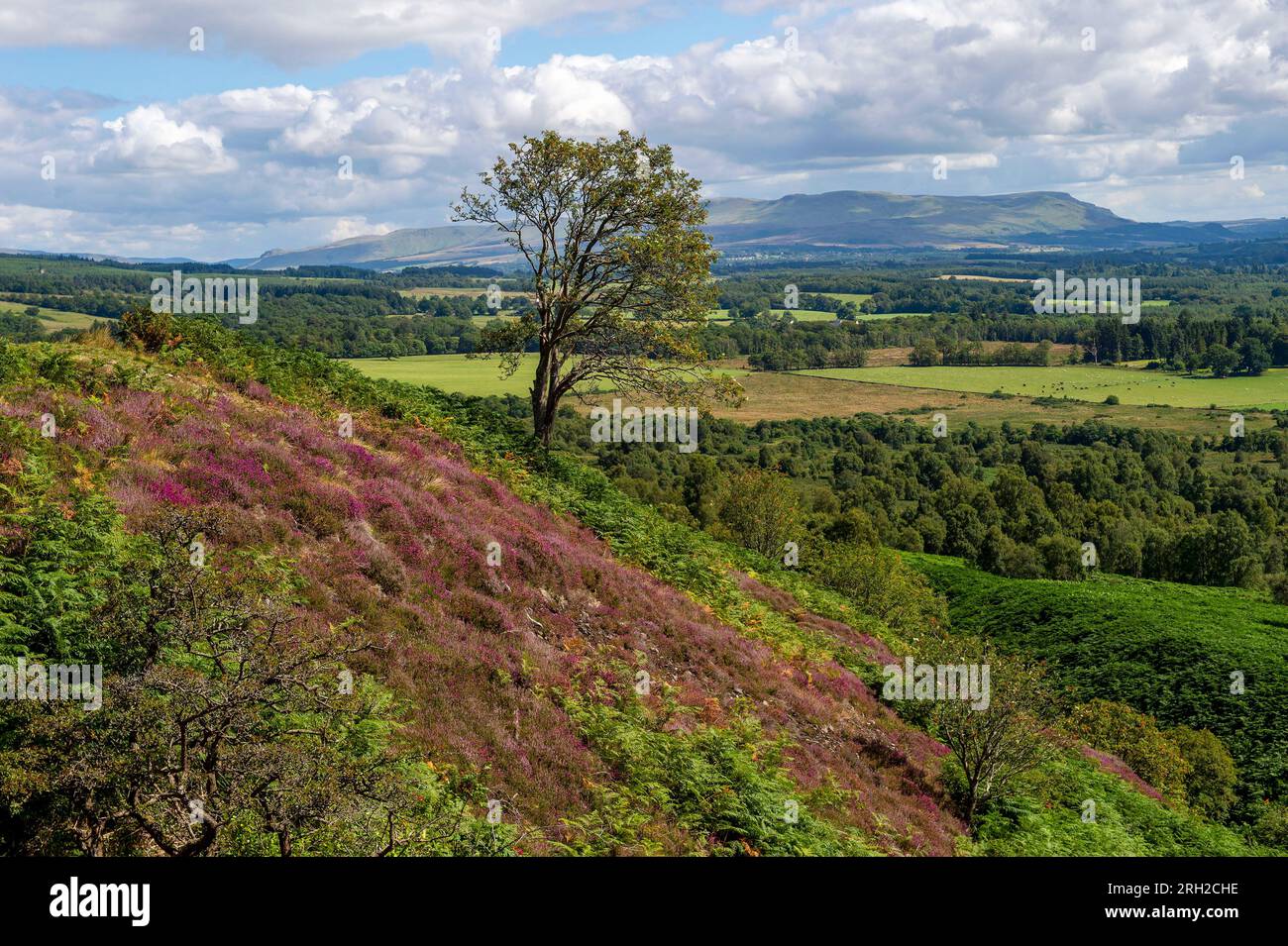 View looking from Conic Hill, Loch Lomond & Trossachs National Park ...