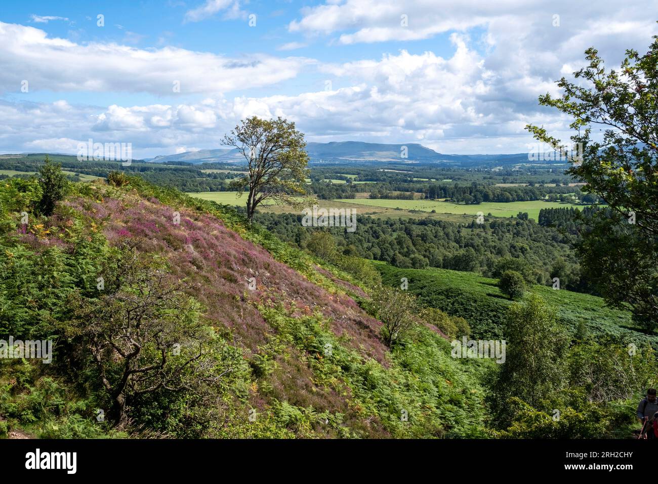 View looking from Conic Hill, Loch Lomond & Trossachs National Park ...