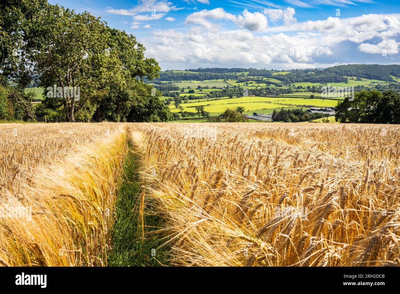 Welsh government land hi-res stock photography and images - Alamy