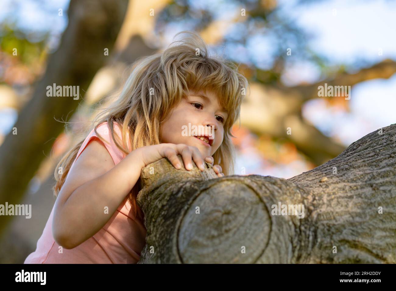 Child on a tree. Insurance kids. Health care insurance concept for kids ...