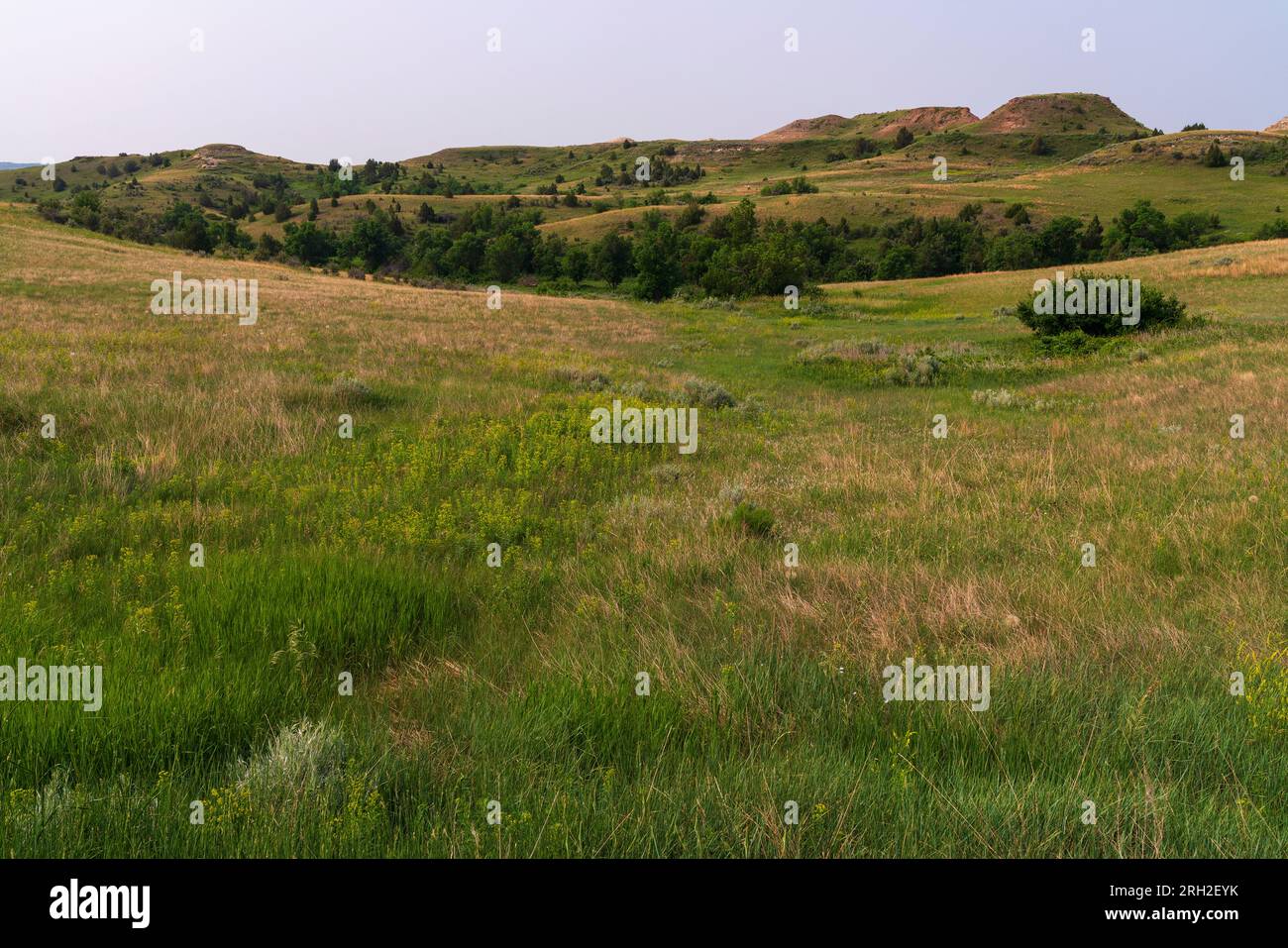 Rolling terrain hi-res stock photography and images - Alamy