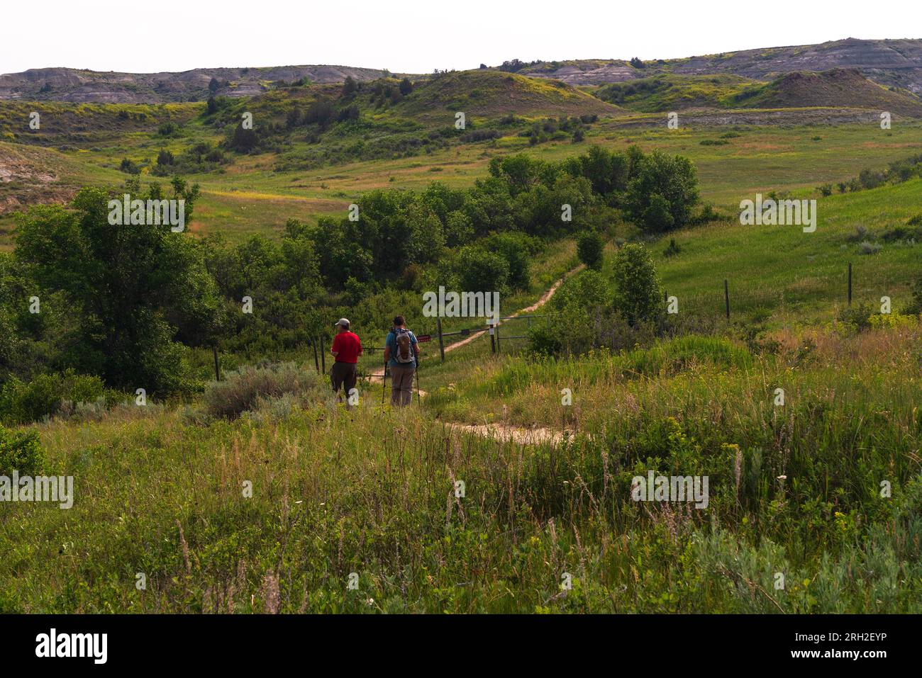 Rolling prairie and badlands of Theodore Roosevelt National Park ...