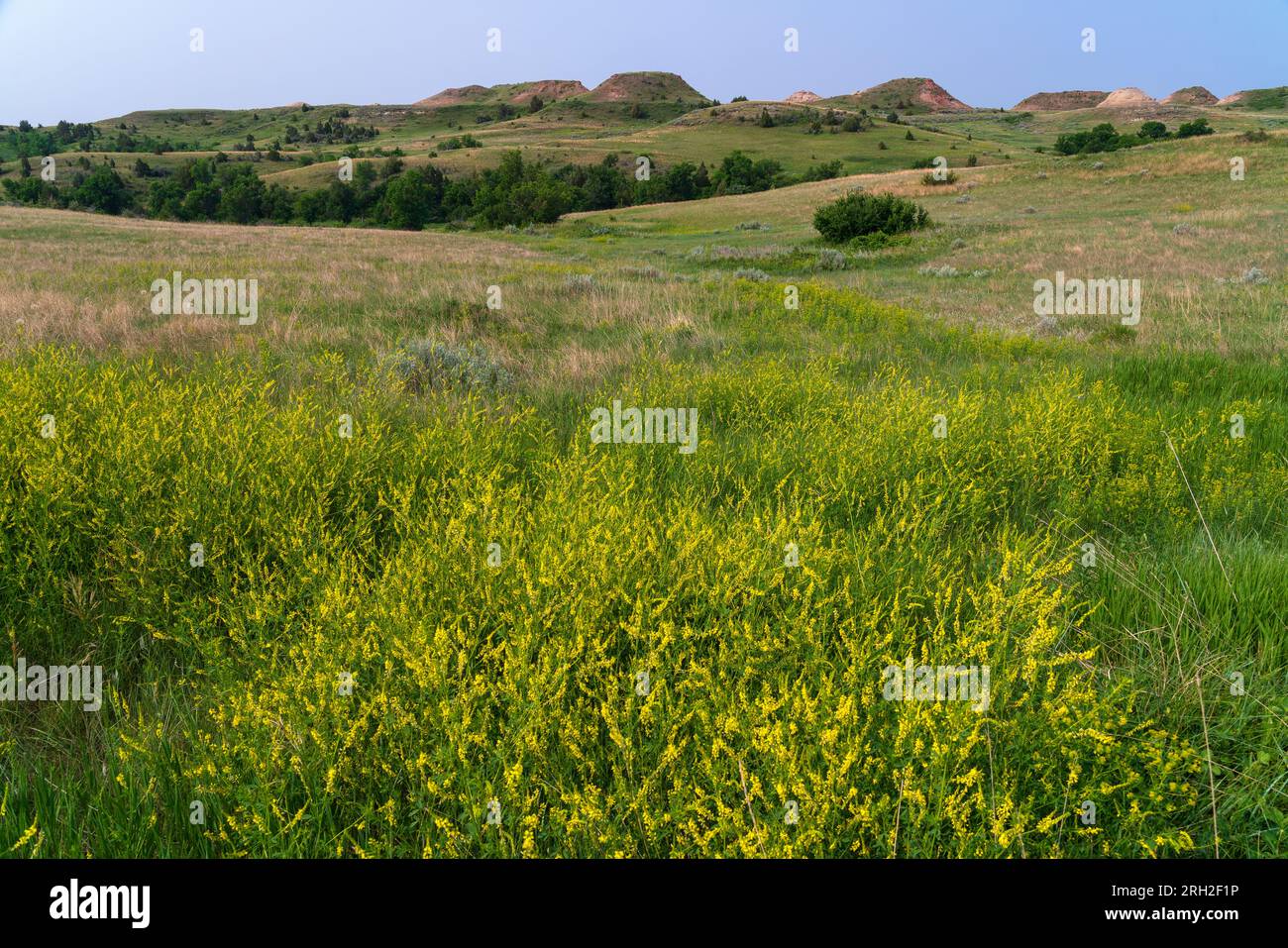 Rolling prairie and badlands of Theodore Roosevelt National Park ...