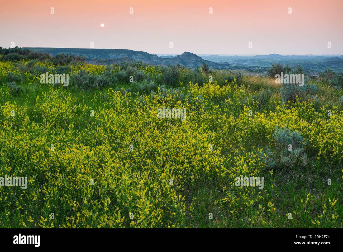 Hazy summer sunset muted by wildfire smoke over Theodore Roosevelt ...
