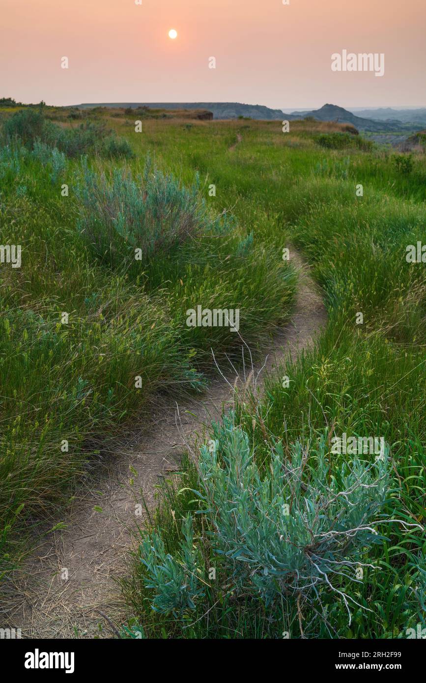 Hazy summer sunset muted by wildfire smoke over Theodore Roosevelt ...