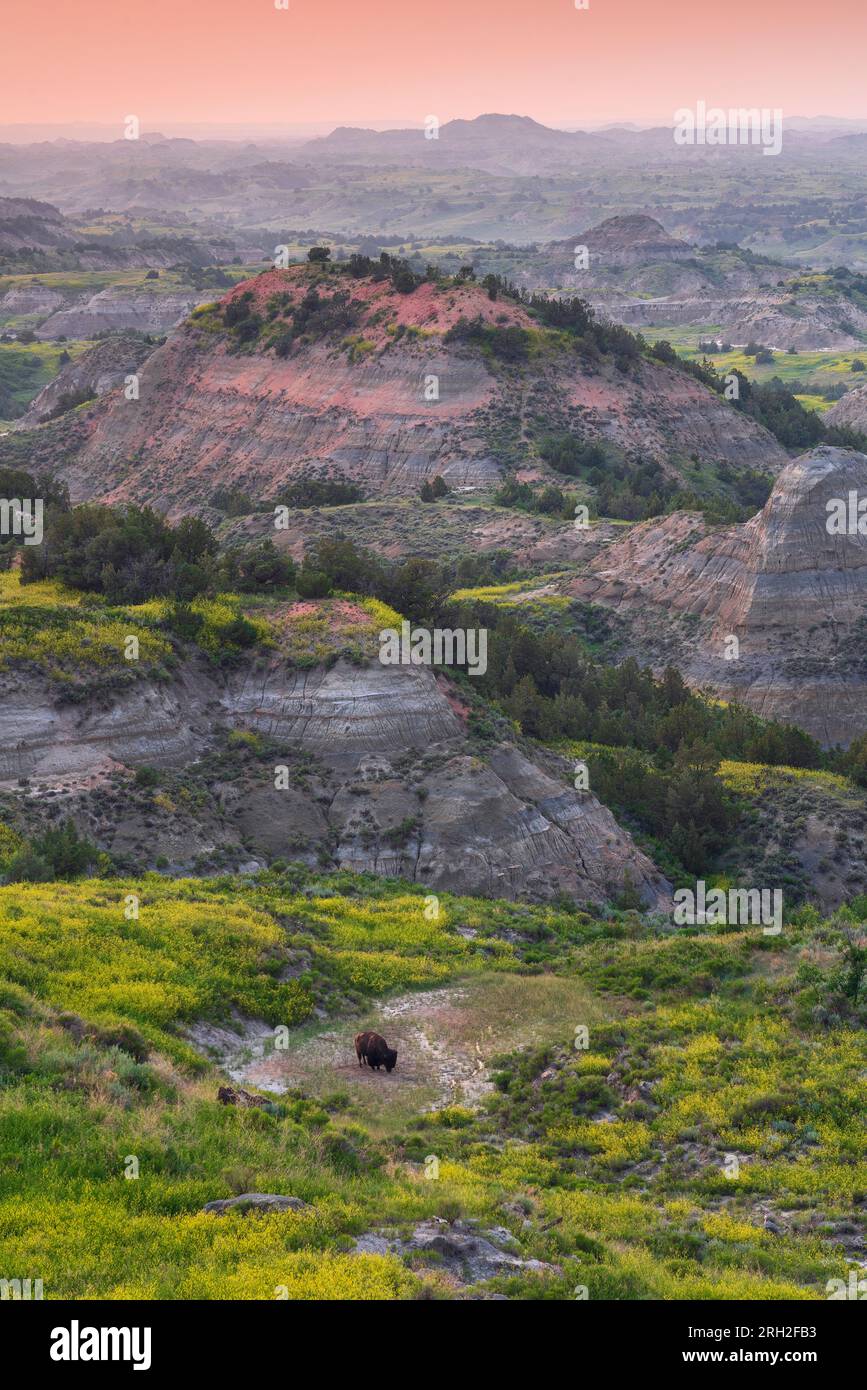 Golden hour light over the dramatic summer landscape of Theodore ...