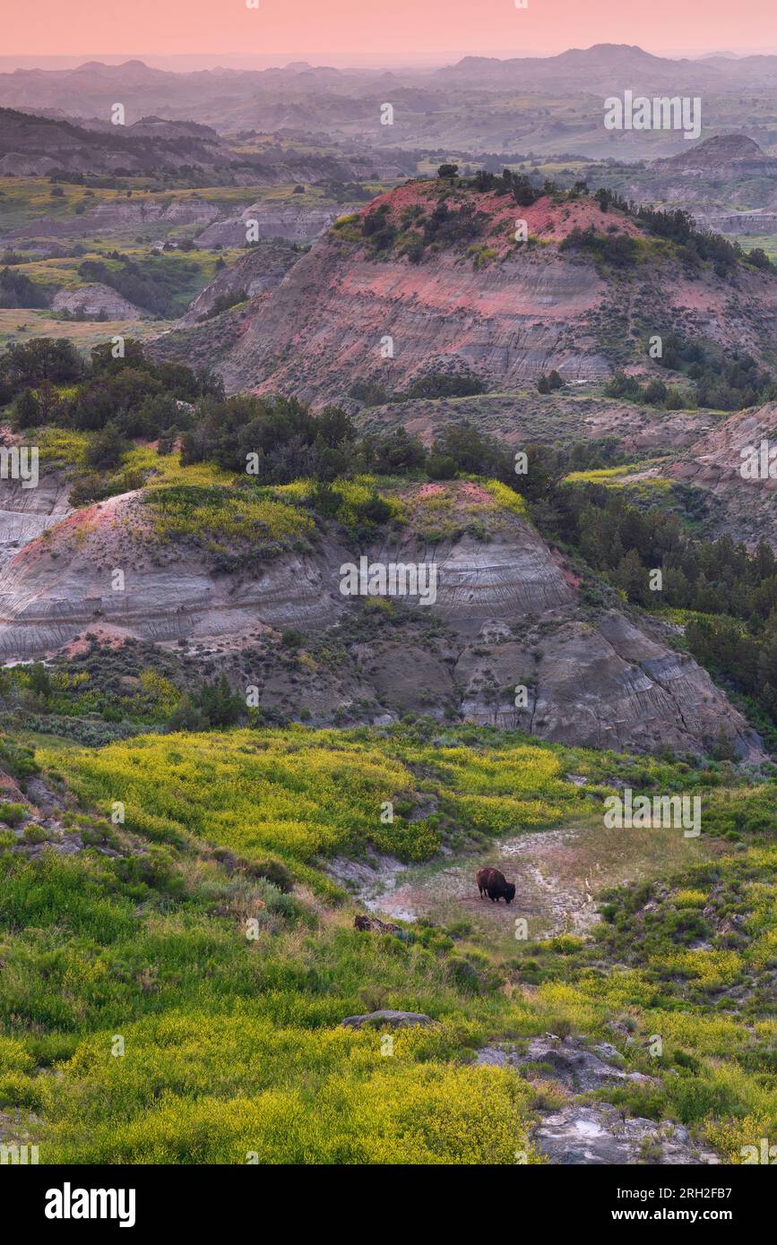 Golden hour light over the dramatic summer landscape of Theodore ...