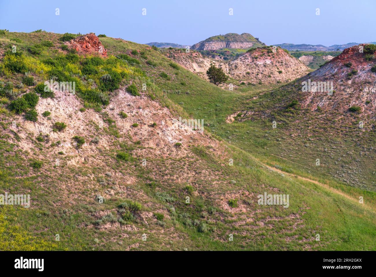Rolling prairie and badlands of Theodore Roosevelt National Park ...