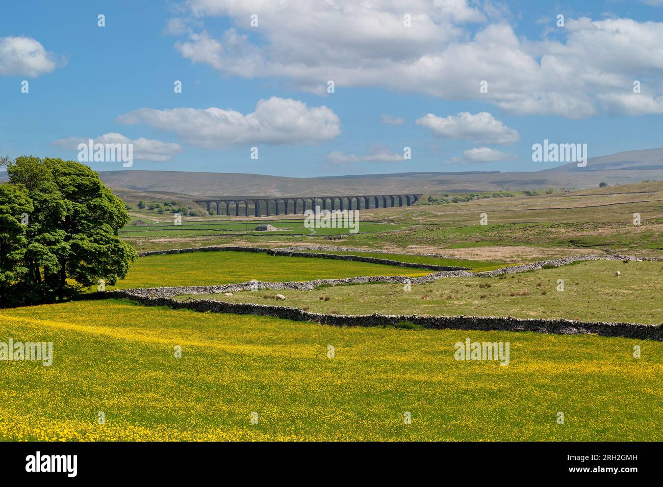 Ribble valley railway hi-res stock photography and images - Alamy