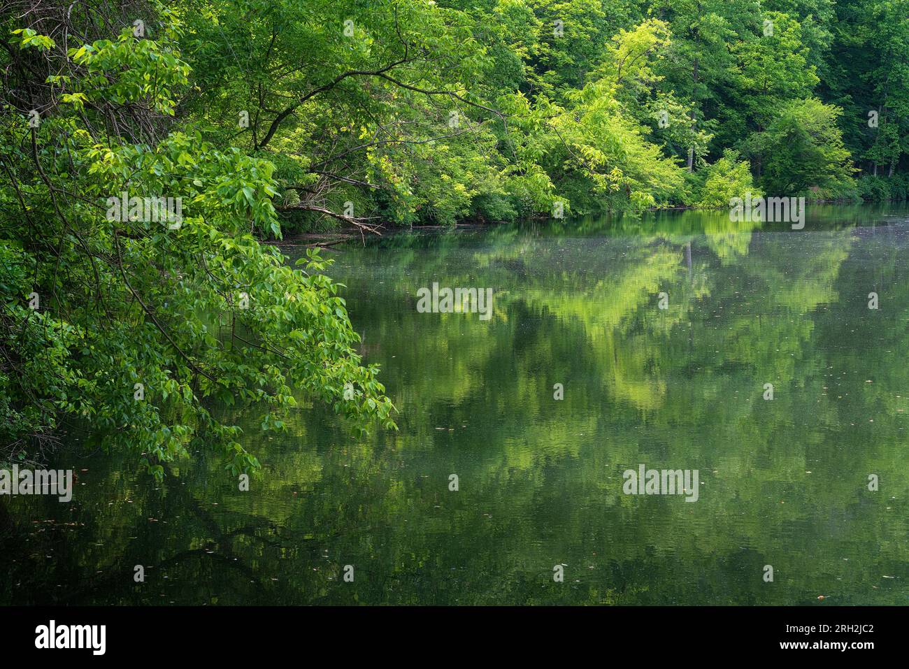 Patapsco river hi-res stock photography and images - Alamy