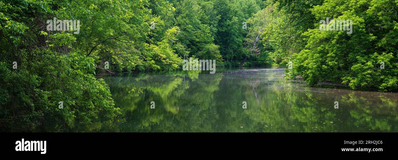 Summer foliage along the Patapsco River near Daniels Dam in Ellicott ...