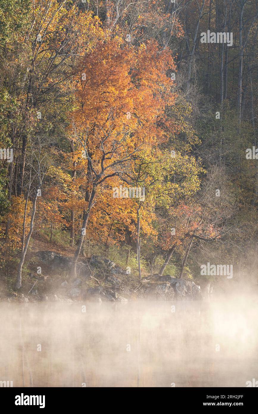 Wide water, C&O Canal, Great Falls National Park, Maryland Stock Photo ...