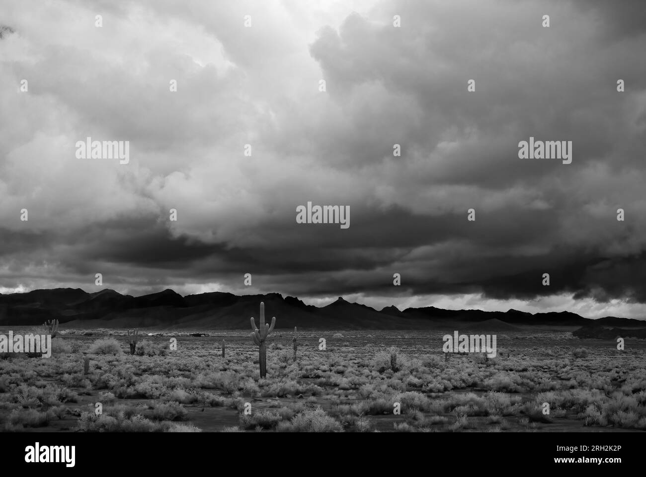 Infrared Sonora desert in central Arizona USA Stock Photo - Alamy
