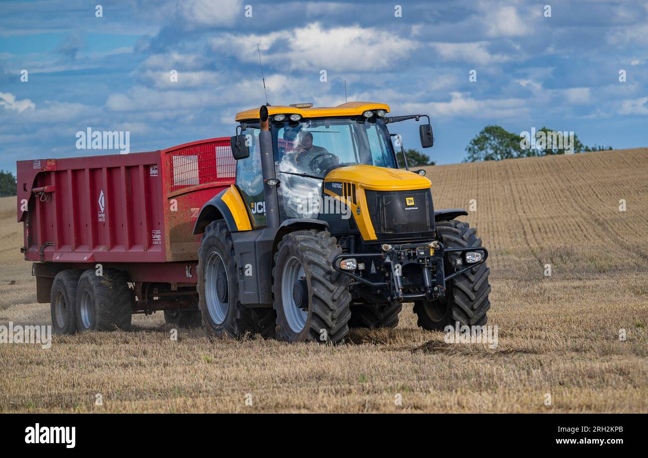 A tractor and trailer carting wheat corn from a field, which has just ...