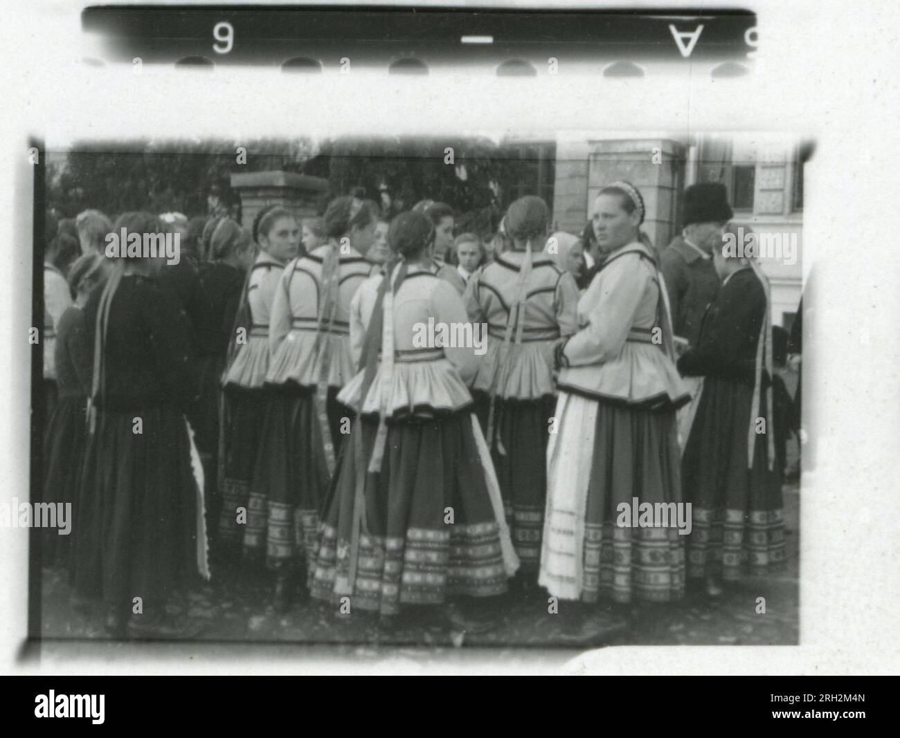 SS Photographer, Fritsch, Romania, Kavallerie, Russia 1943-44 Romanian ...