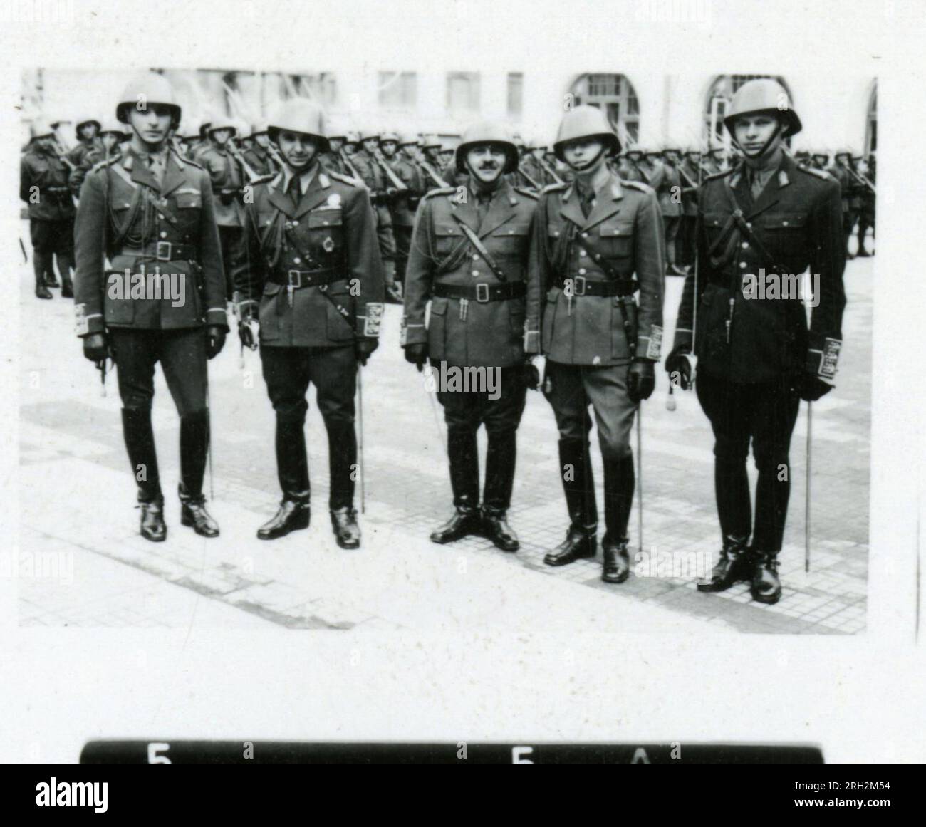 SS Photographer, Fritsch, Romania, Kavallerie, Russia 1943-44 Romanian ...